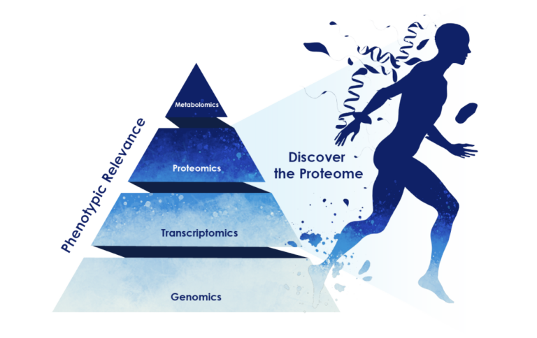 Proteomics Services | Discovery & Phosphoproteomics